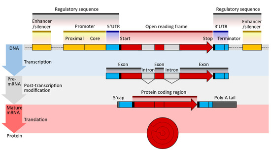 RNA Therapeutics: A Healthcare Paradigm Shift
