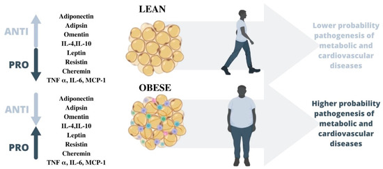 Biomedicines | Free Full-Text | The Role of Adipokines in Health and Disease
