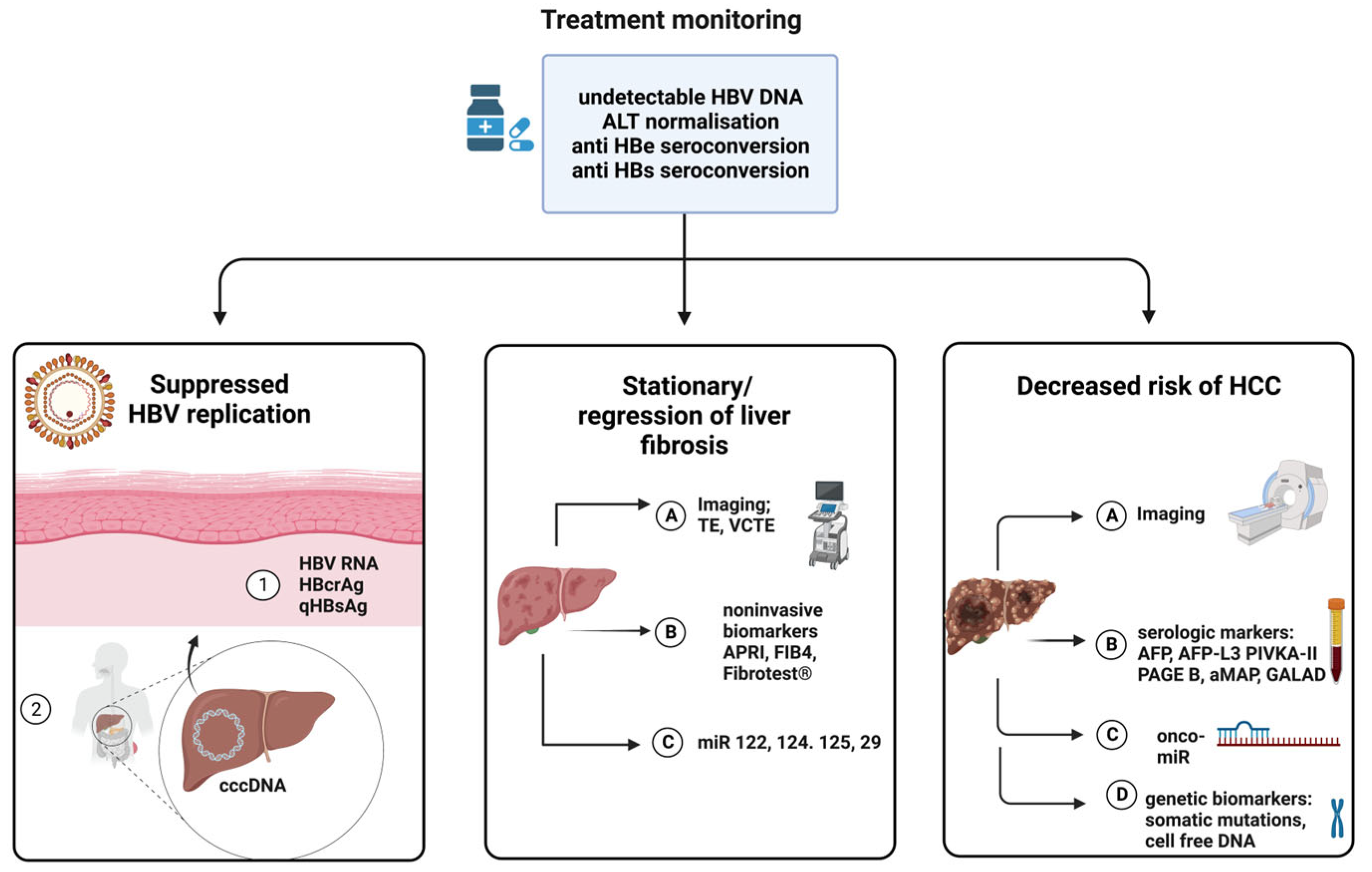 HIV-HBV Coinfection—Current Challenges for Virologic Monitoring