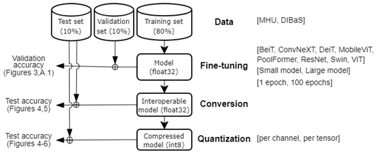Biomedicines | Free Full-Text | Lightweight Visual Transformers ...