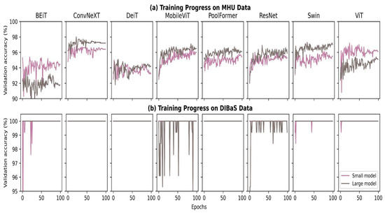 Biomedicines | Free Full-Text | Lightweight Visual Transformers Outperform Convolutional Neural ...