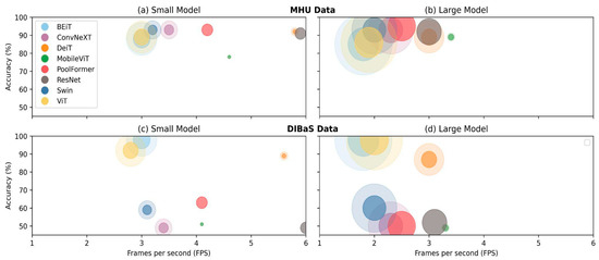 Biomedicines | Free Full-Text | Lightweight Visual Transformers Outperform Convolutional Neural ...
