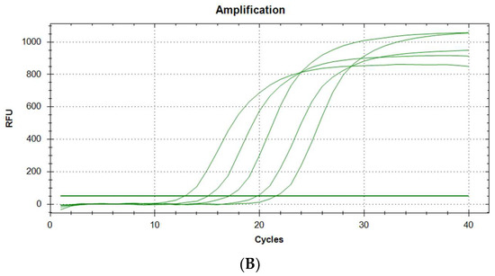 What to Do if the qPCR Test for SARS-CoV-2 or Other Pathogen Lacks ...