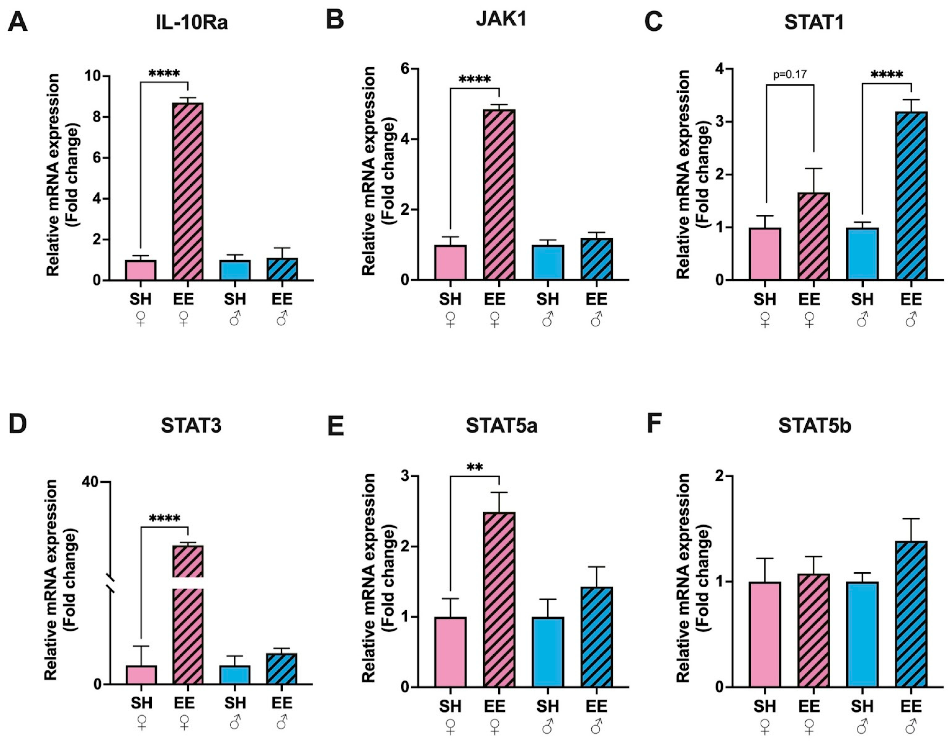 Biomedicines Free Full Text Enriched Environment Induces Sex