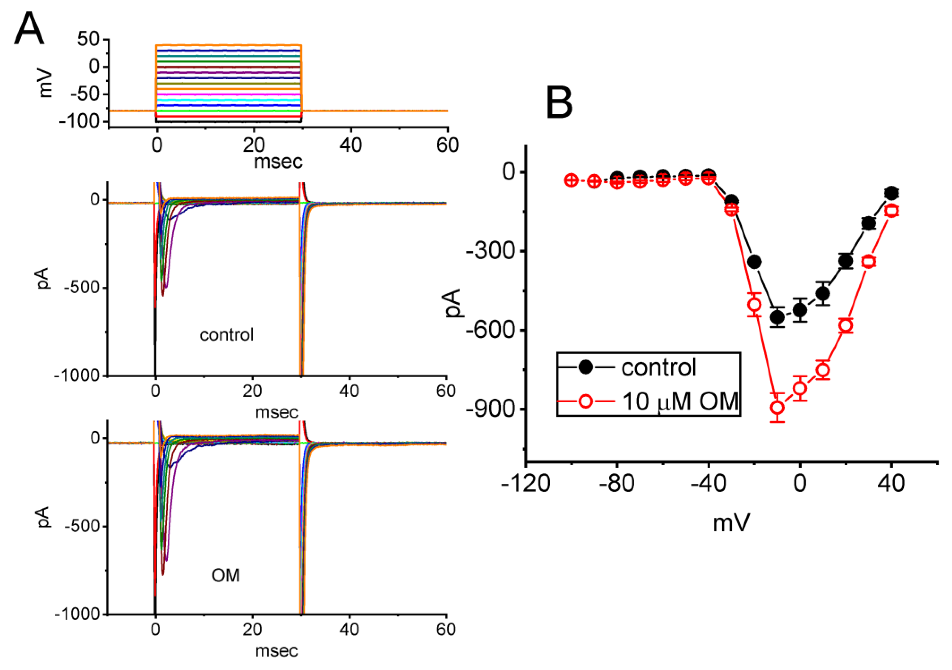 Characterization Of Stimulatory Action On Voltage Gated Na Currents Caused By Omecamtiv