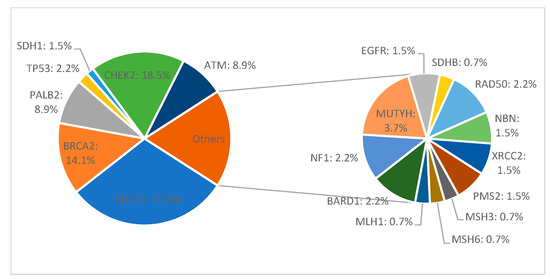 Hereditary Breast Cancer in Romania—Molecular Particularities and ...