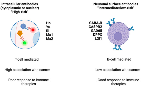 Paraneoplastic Neurological Syndromes of the Central Nervous System ...