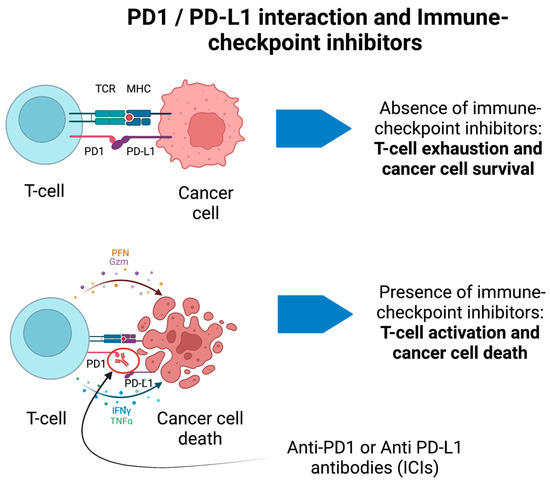 Paraneoplastic Neurological Syndromes of the Central Nervous System ...