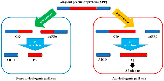 The Roles of the Amyloid Beta Monomers in Physiological and ...