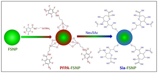 Blood pH Analysis in Combination with Molecular Medical Tools in ...