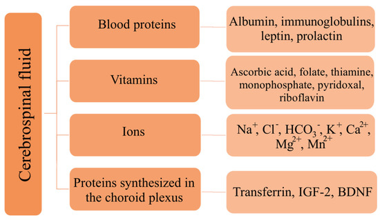Cerebrospinal Fluid–Basic Concepts Review