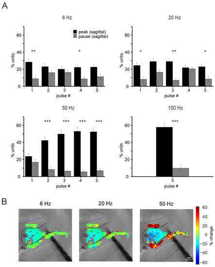Anisotropy and Frequency Dependence of Signal Propagation in the ...