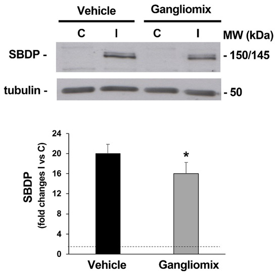 Neuroprotective Effect of a Nutritional Supplement Containing Spearmint ...