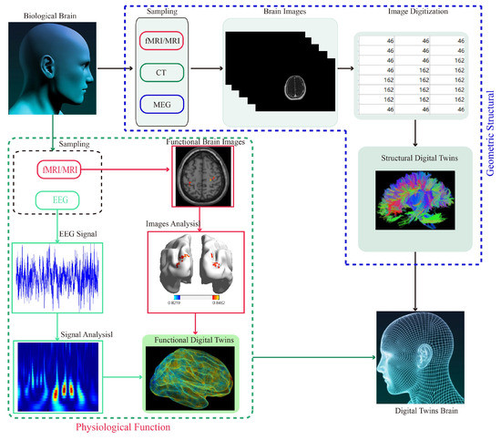 Biomedicines | Free Full-Text | Noninvasive Electrical Stimulation ...