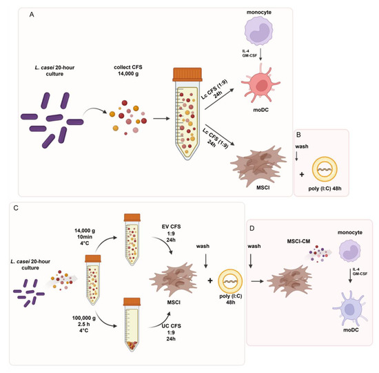 Antibodies From Cell Culture Supernatant at Kathryn Ono blog
