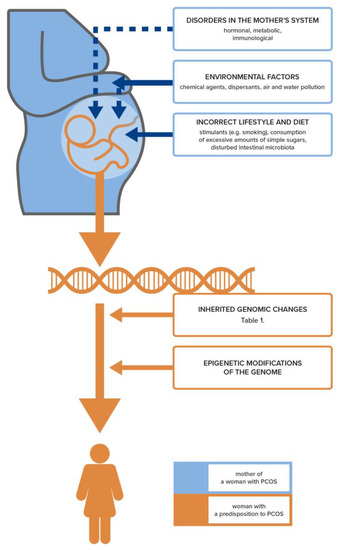 Immunological and Metabolic Causes of Infertility in Polycystic Ovary ...