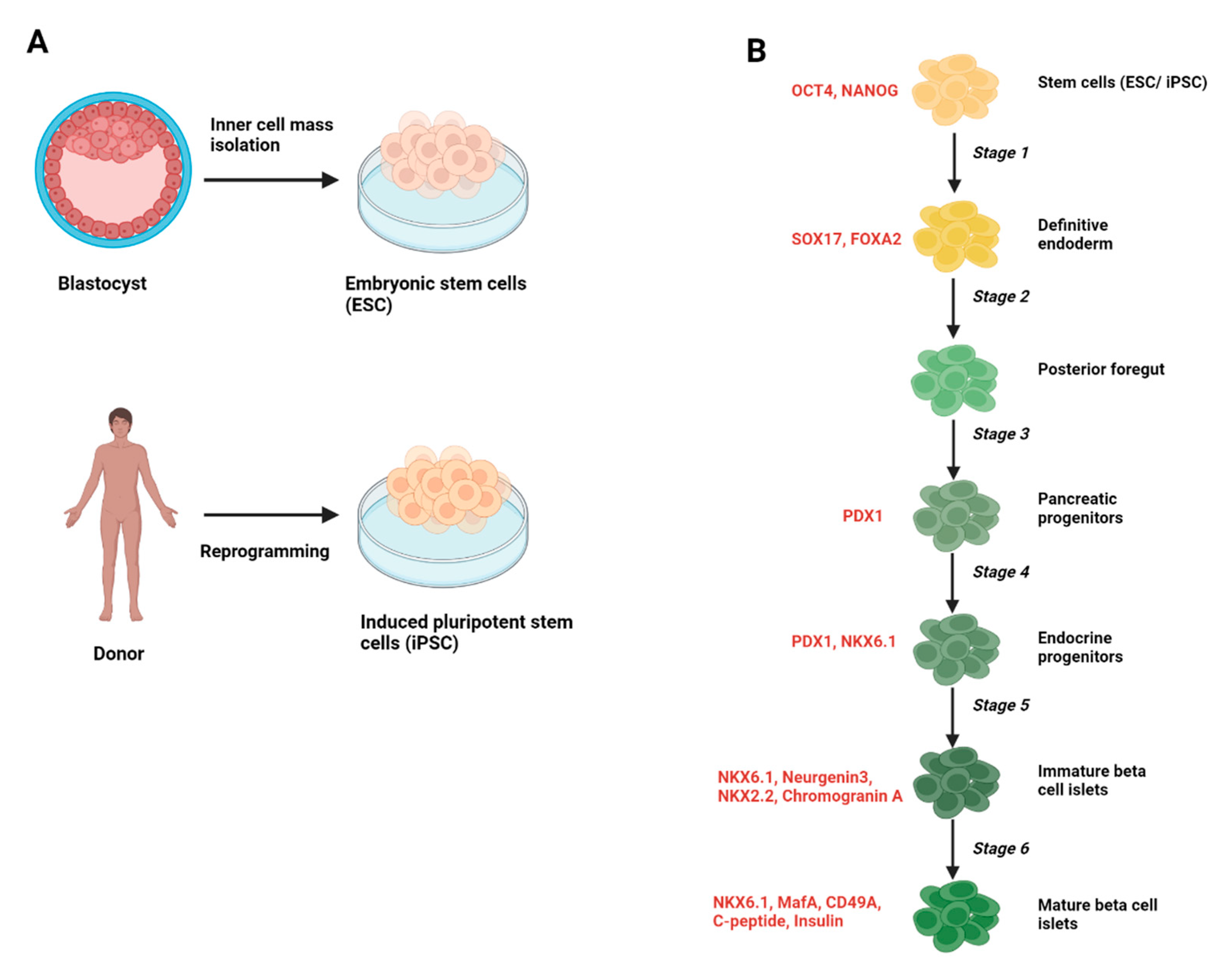 Ca2+-Mediated Signaling Pathways: A Promising Target for the Successful ...