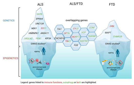 Emerging Trends in the Field of Inflammation and Proteinopathy in ALS ...