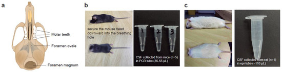 Biomedicines | Free Full-Text | A Minimally-Invasive Method for Serial ...