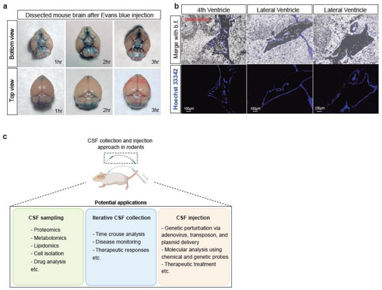 A Minimally-Invasive Method for Serial Cerebrospinal Fluid Collection ...