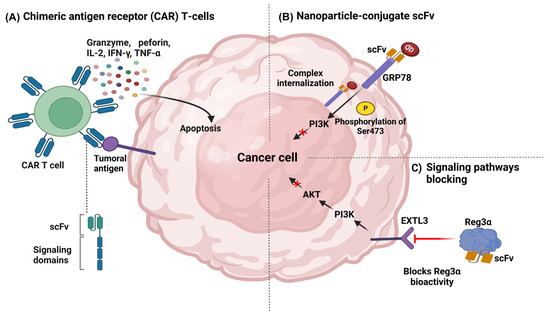 Mechanisms of Action and Limitations of Monoclonal Antibodies and Single Chain Fragment Variable ...