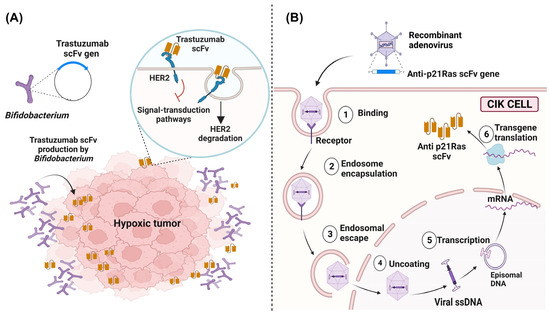 Mechanisms of Action and Limitations of Monoclonal Antibodies and Single Chain Fragment Variable ...