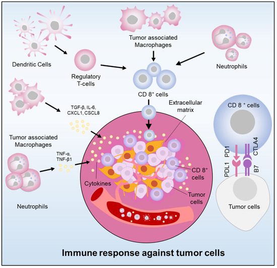 Therapeutic Approaches in Pancreatic Cancer: Recent Updates