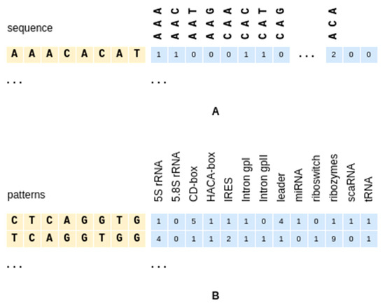 High-Accuracy ncRNA Function Prediction via Deep Learning Using Global and Local Sequence ...