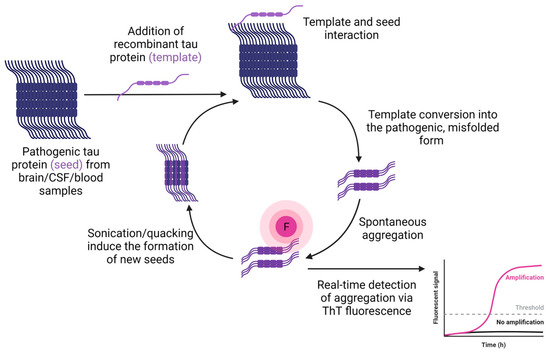 Pick’s Disease, Seeding an Answer to the Clinical Diagnosis Conundrum