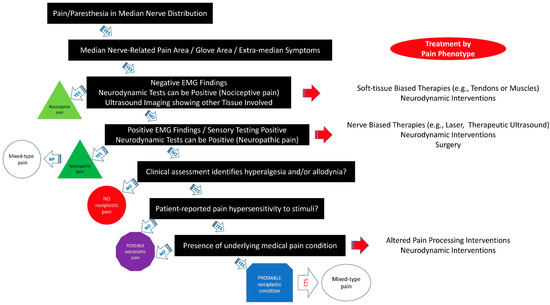 Carpal Tunnel Syndrome: Neuropathic Pain Associated or Not with a ...