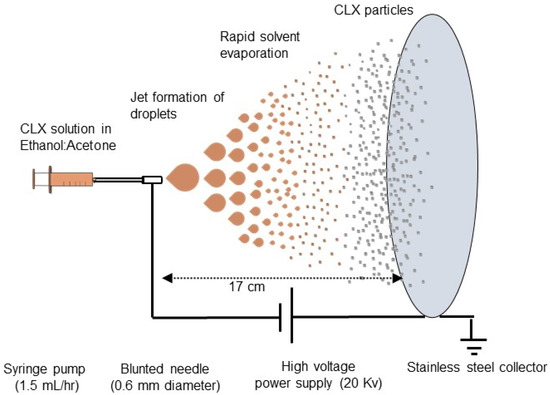 Biomedicines | Free Full-Text | Carrier-Free Inhalable Dry ...