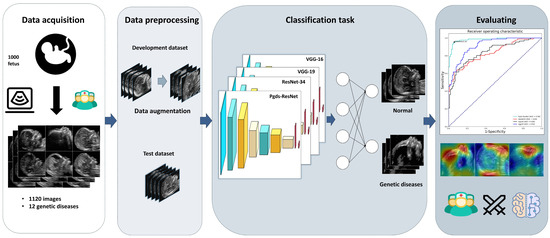 A Deep-Learning-Based Method Can Detect Both Common and Rare Genetic ...