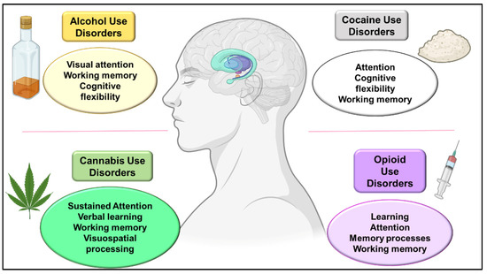 Cognitive Alterations in Addictive Disorders: A Translational Approach