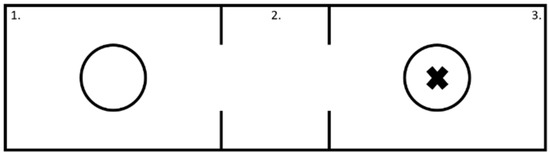 Intraamygdaloid Oxytocin Increases Time Spent on Social Interaction in ...