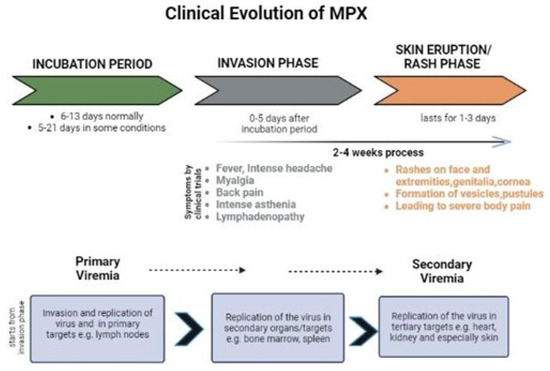 Biomedicines | Free Full-Text | A Comprehensive Review on Monkeypox ...