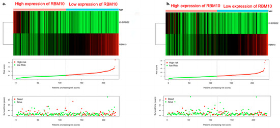 Multiple Omics Analysis of the Role of RBM10 Gene Instability in Immune ...