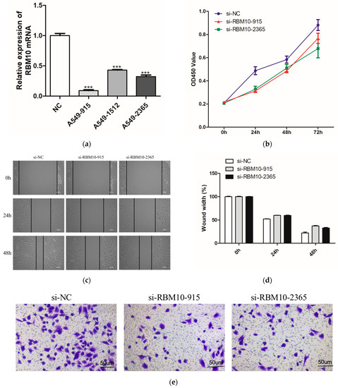 Multiple Omics Analysis of the Role of RBM10 Gene Instability in Immune ...