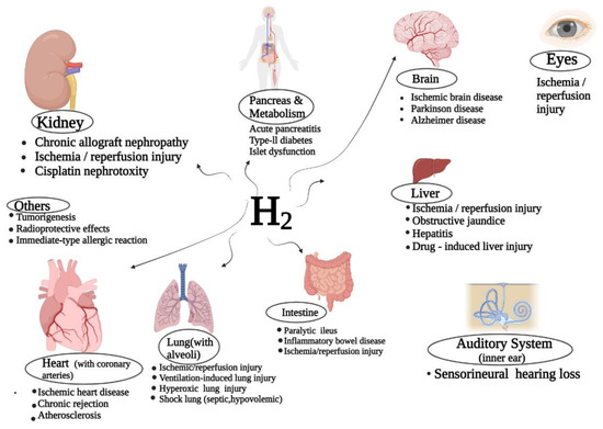 Hydrogen Therapy and Its Future Prospects for Ameliorating COVID-19 ...