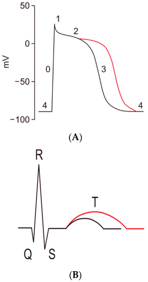 Biomedicines | Free Full-Text | Dysregulated Calcium Handling in ...
