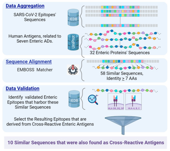 Biomedicines | Free Full-Text | SARS-CoV-2 Gut-Targeted Epitopes: Sequence Similarity and Cross ...