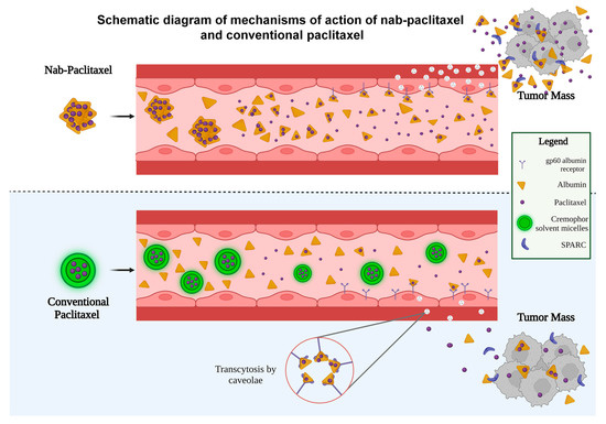 Nab-Paclitaxel in the Treatment of Gastrointestinal Cancers ...