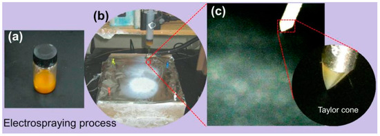 Integrating Chinese Herbs and Western Medicine for New Wound Dressings ...