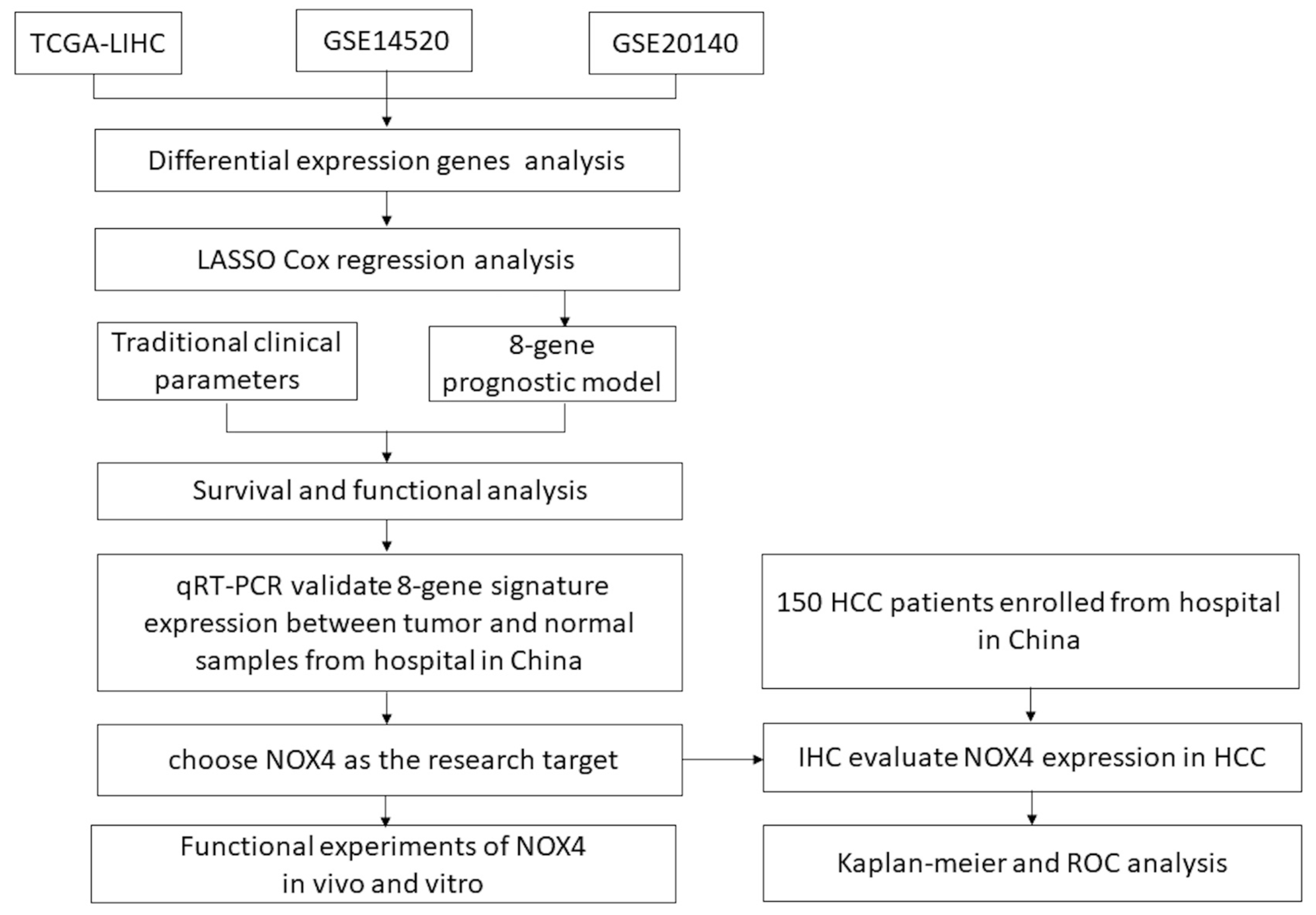 Biomedicines | Free Full-Text | Identification of NOX4 as a New Biomarker in Hepatocellular ...