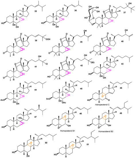 Bioactive Steroids Bearing Oxirane Ring