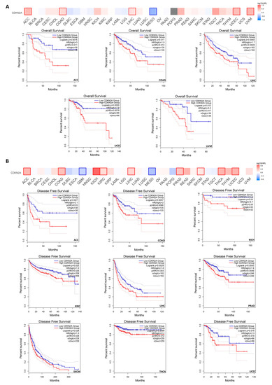 Cyclin Dependent Kinase Inhibitor 2A Genetic and Epigenetic Alterations ...