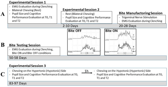 Trigeminal Stimulation and Visuospatial Performance: The Struggle ...