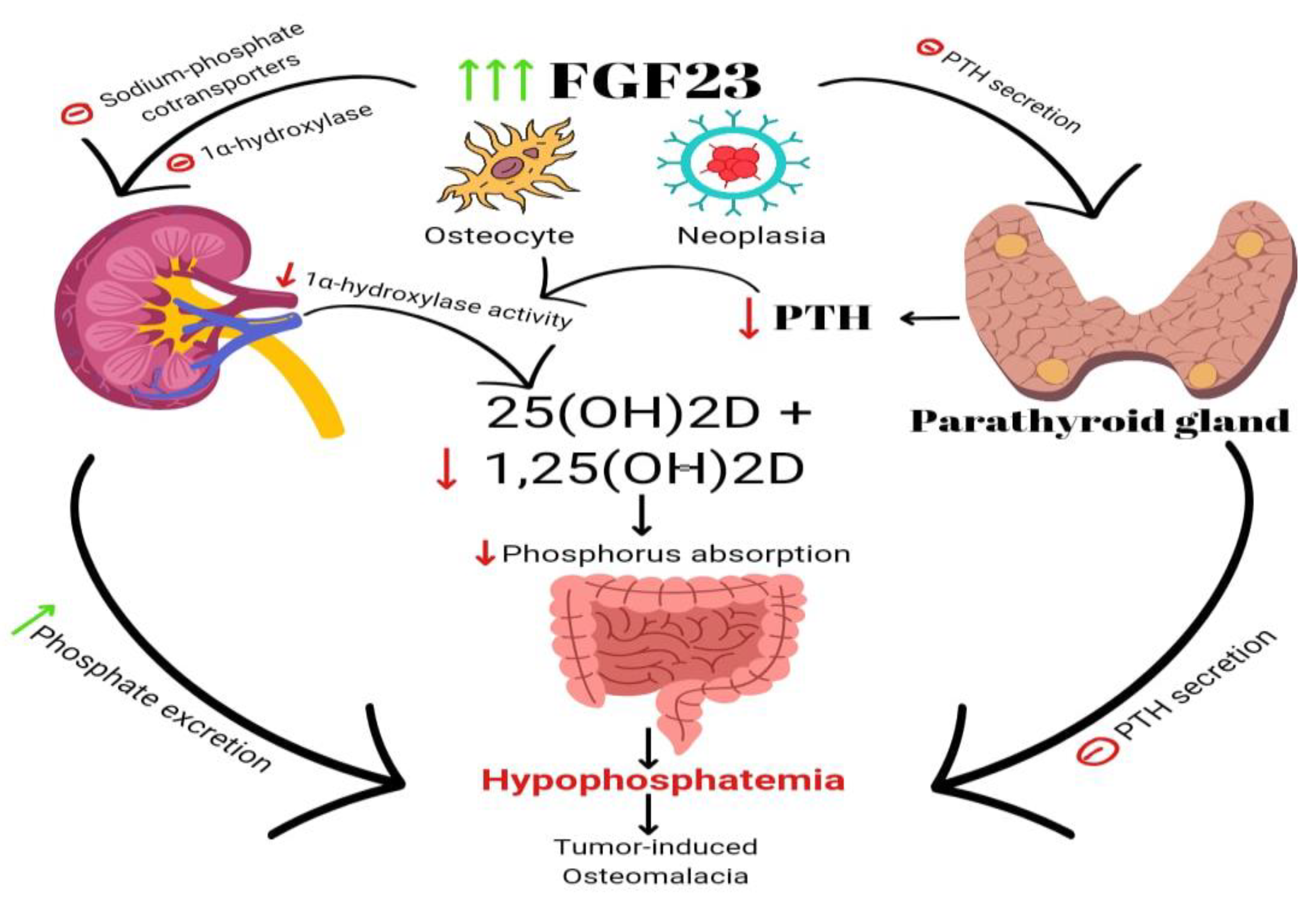 Calcium, Phosphorus and Magnesium Abnormalities Associated with COVID ...