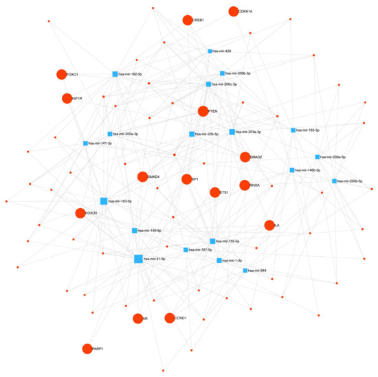 Biomedicines | Free Full-Text | Does the Necrotic Portion of Metastatic ...