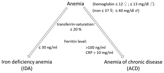 Why Is Iron Deficiency/Anemia Linked to Alzheimer’s Disease and Its ...