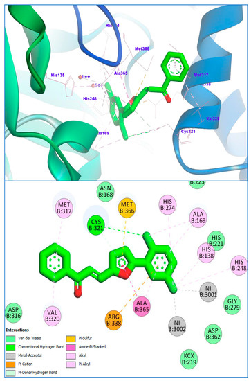 Exploring the Synthetic Chemistry of Phenyl-3-(5-aryl-2-furyl)- 2 ...